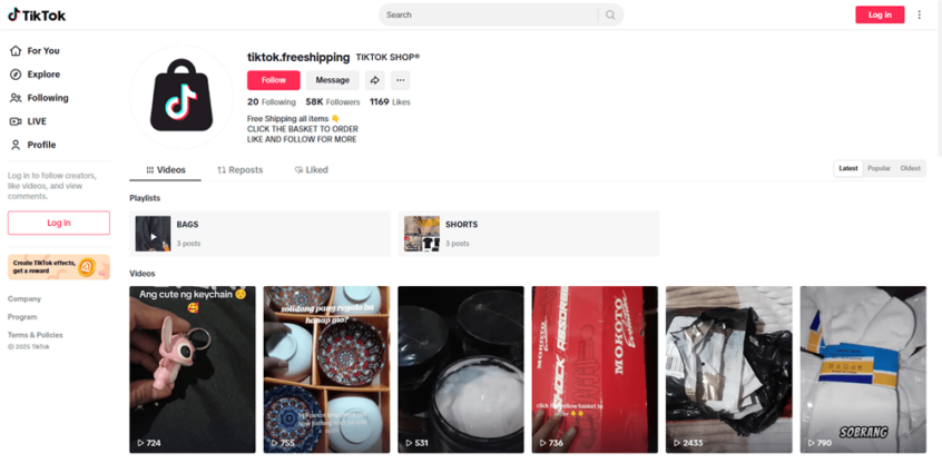 Things You Must Know About TikTok Global Shipping this 2025 - Justchinait